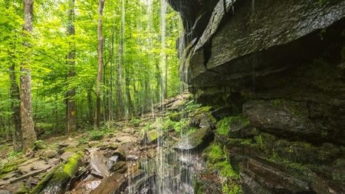 Greene County Parks and Trails